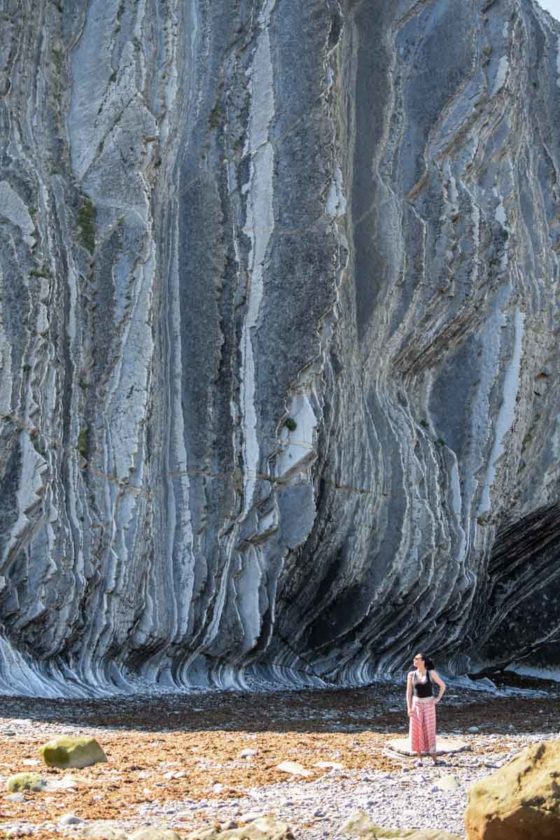 Lo que necesitas saber para visitar los flysch de Zumaia – Animales ...