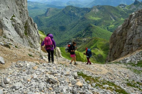 Los Anillos de Picos de Europa: el Anillo Vindio – Animales Viajeros