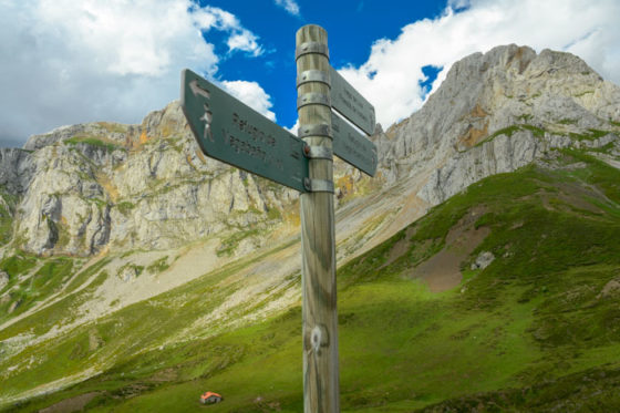 Los Anillos de Picos de Europa: el Anillo Vindio – Animales Viajeros