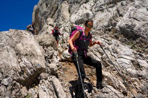 Los Anillos de Picos de Europa: el Anillo Vindio – Animales Viajeros