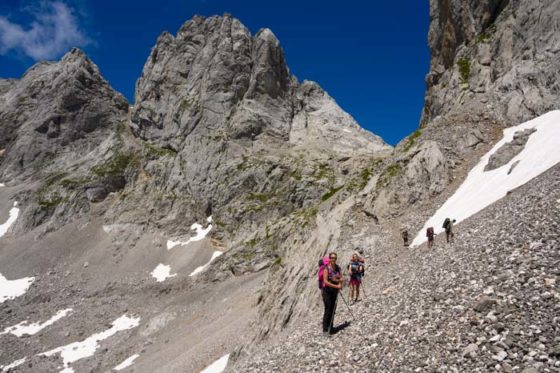 Los Anillos de Picos de Europa: el Anillo Vindio – Animales Viajeros