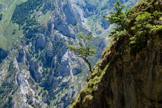 Ruta de Poncebos a Vega de Ario por la Canal de Trea. Picos de Europa ...